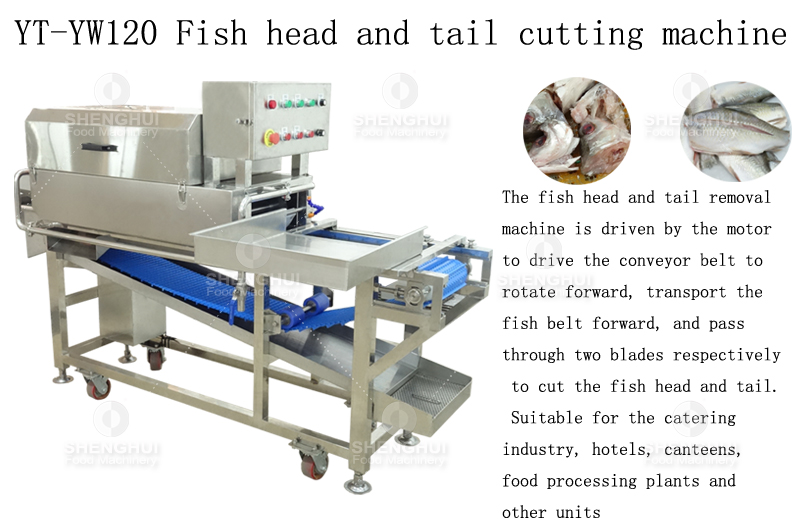 Customized fish head and tail removing machine canned dace processing ...