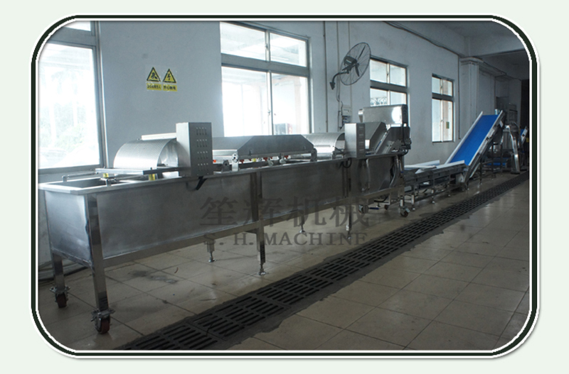 Customizable Chinese herbal leaf vegetable fruit cutting, washing and ...