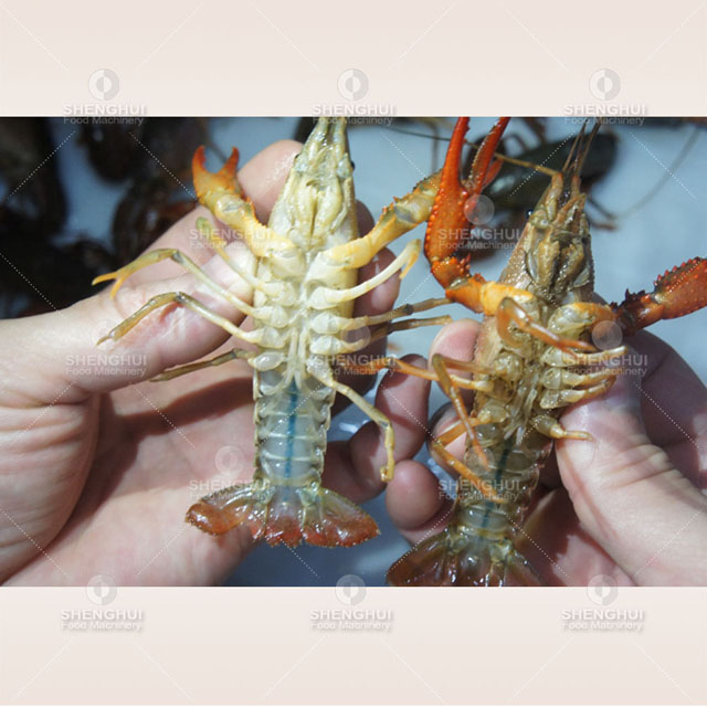 Commercial ultrasonic crayfish cleaning machine air bubble scallop ...