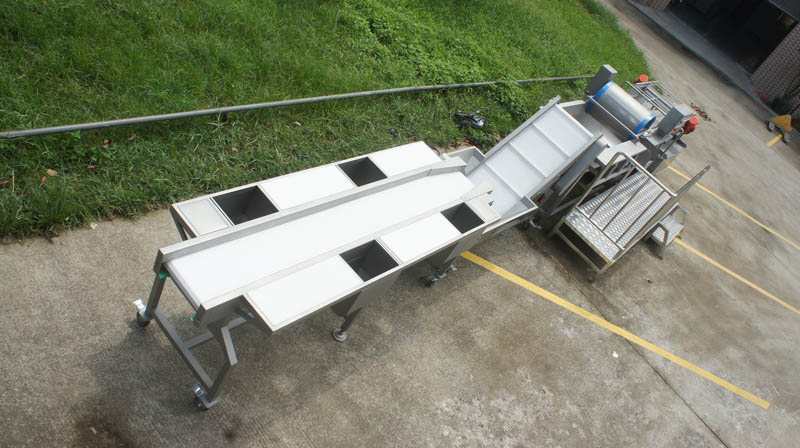 Vortex production line combination vegetable production line - Shenghui ...